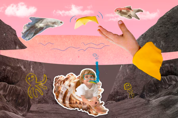Aprendamos a realizar un collage de papel de revistas - Artel